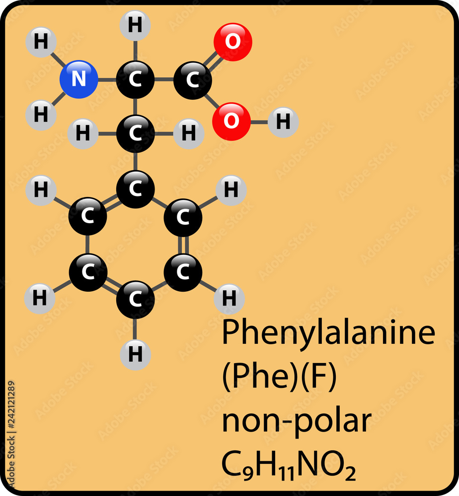 Phenylalanine Amino Acid