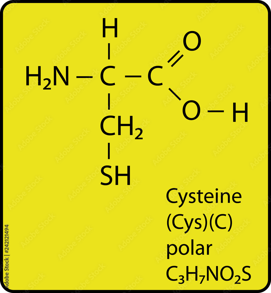 Cysteine Structure