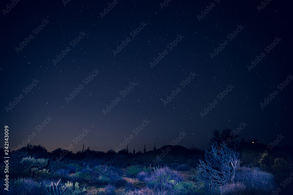 The desert at night shows starry skies and wilderness landscape east of ...