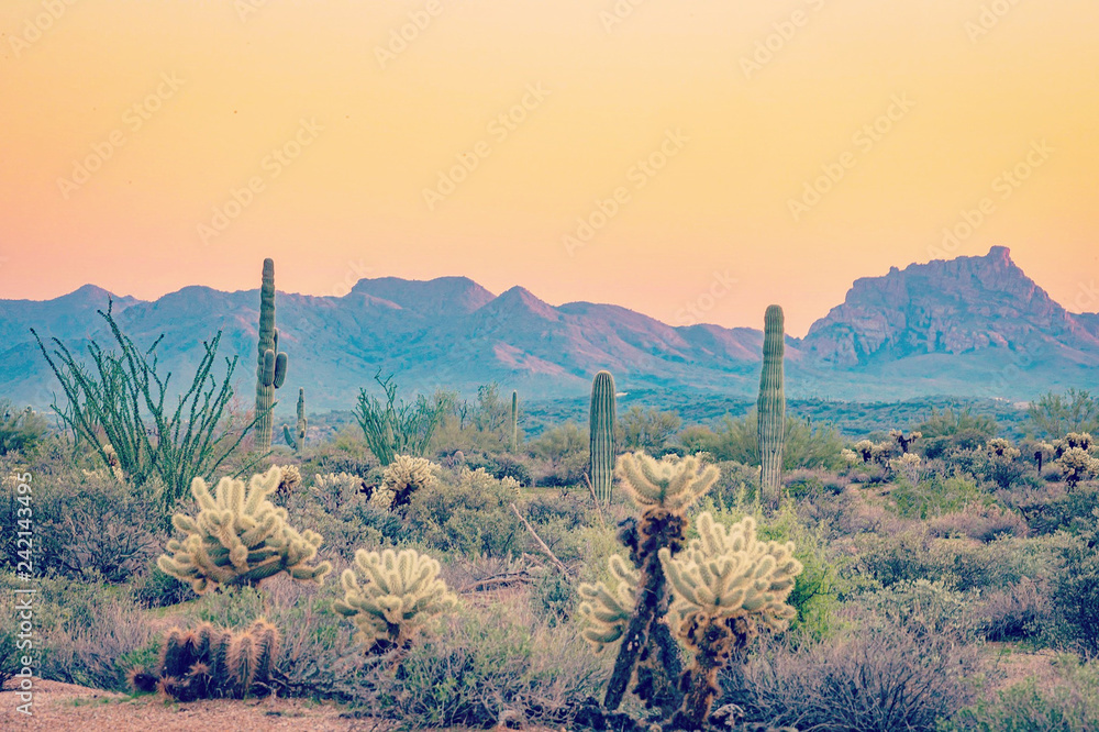 Fotka „The Arizona desert mountains turn a deep reddish, orange and ...