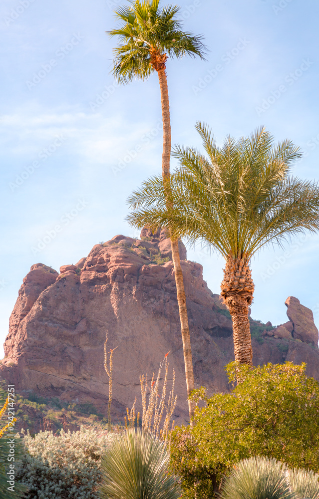 Landscape photos of the iconic "Praying Monk," which is a rock ...