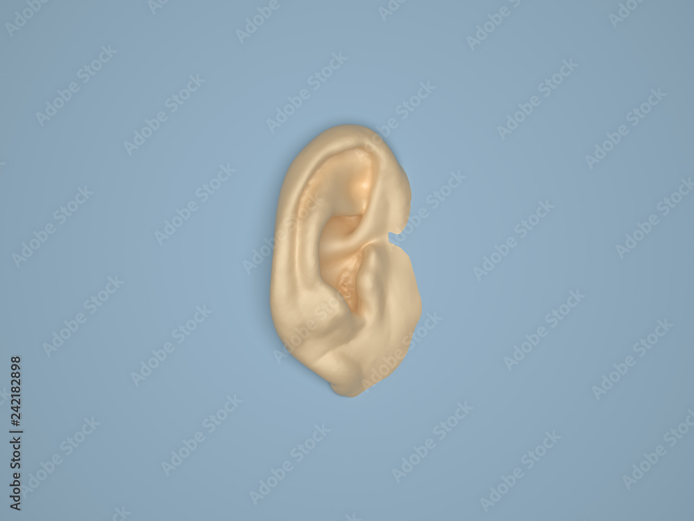 Ear Model - Anatomy of Human Ear Auricle, Lateral Surface. 3D Render ...