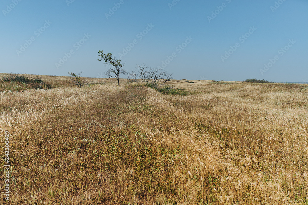 The road in nature and ecological landscape. Ecology and environmental ...