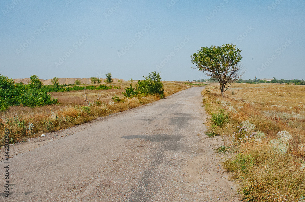 The road in nature and ecological landscape. Ecology and environmental ...