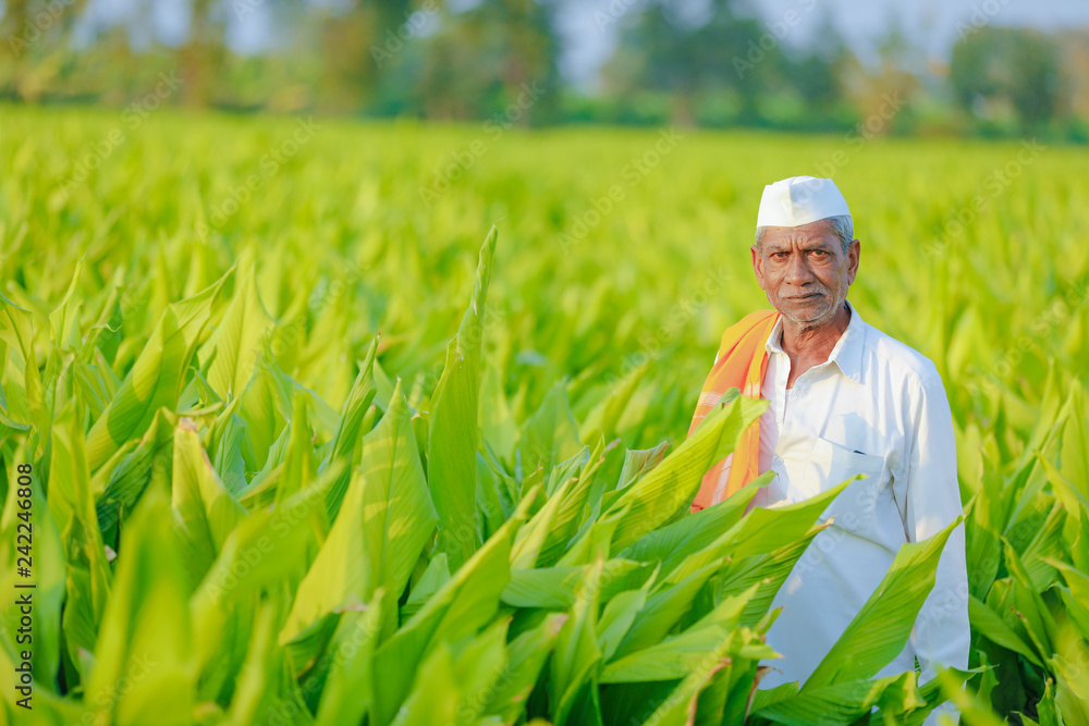 indian farmer at field Stock Photo | Adobe Stock