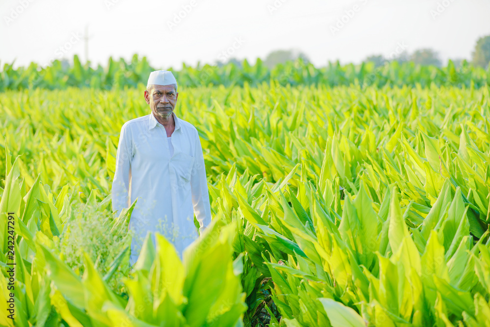 indian farmer at field Stock Photo | Adobe Stock