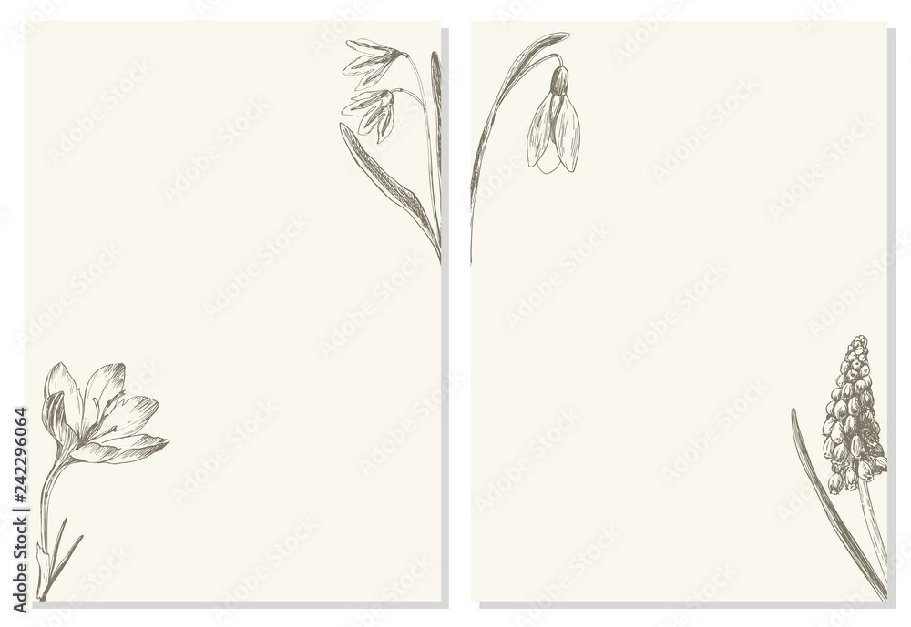 Frame with spring flowers. Ready postcard. Botanical illustration ...