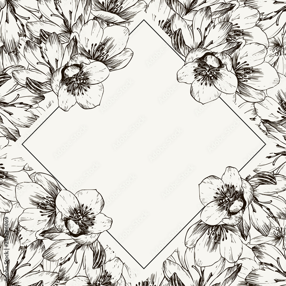 Frame with spring flowers. Ready postcard. Botanical illustration ...