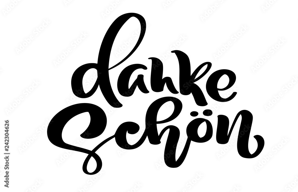 Vector hand drawn lettering Danke Schon. Elegant modern handwritten ...