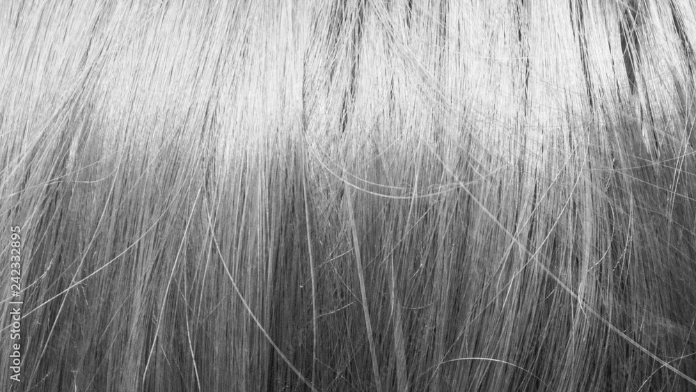 black and white hair texture background Stock Photo | Adobe Stock
