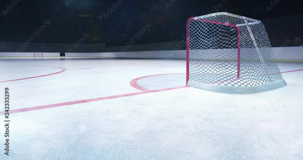 ice hockey stadium behind goal gate illuminated view with blinking ...