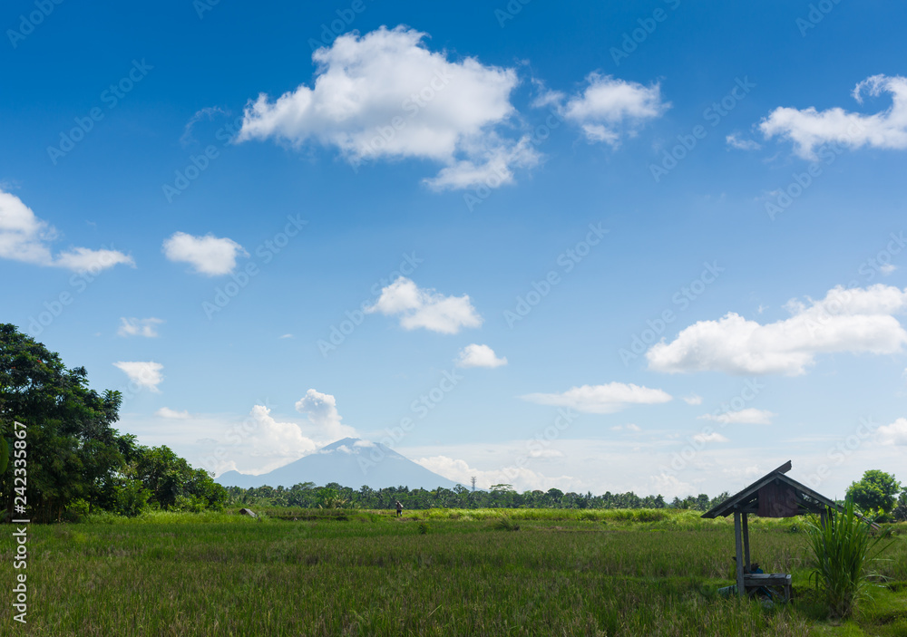Mayon Volcano is an active stratovolcano in the province of Albay in ...