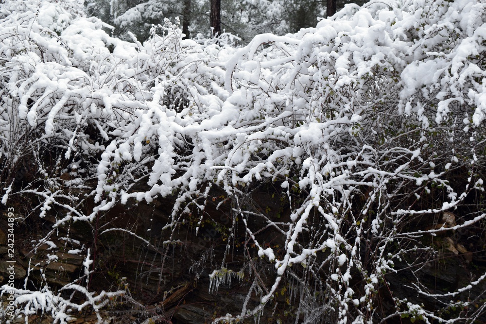 Hiking. From a hikes on the Karia trail.Turgut Castle. The Hydas ...