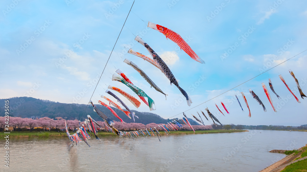 Koinobori carp-shaped windsocks at Kintakami Tenshochi park during full ...
