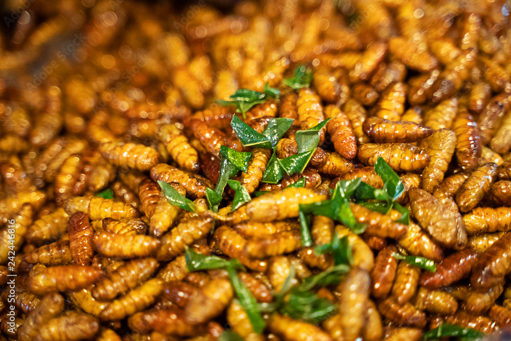 Fried insects, in the walking street market, Phuket Thailand Stock ...