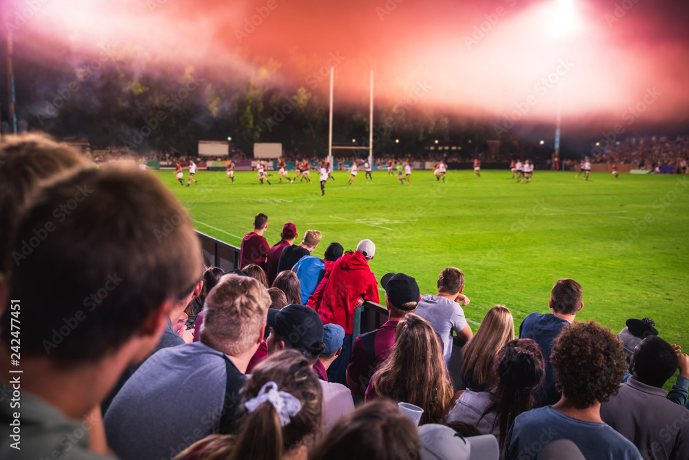 Soccer or rugby supporters in the stadium during match Stock Photo ...