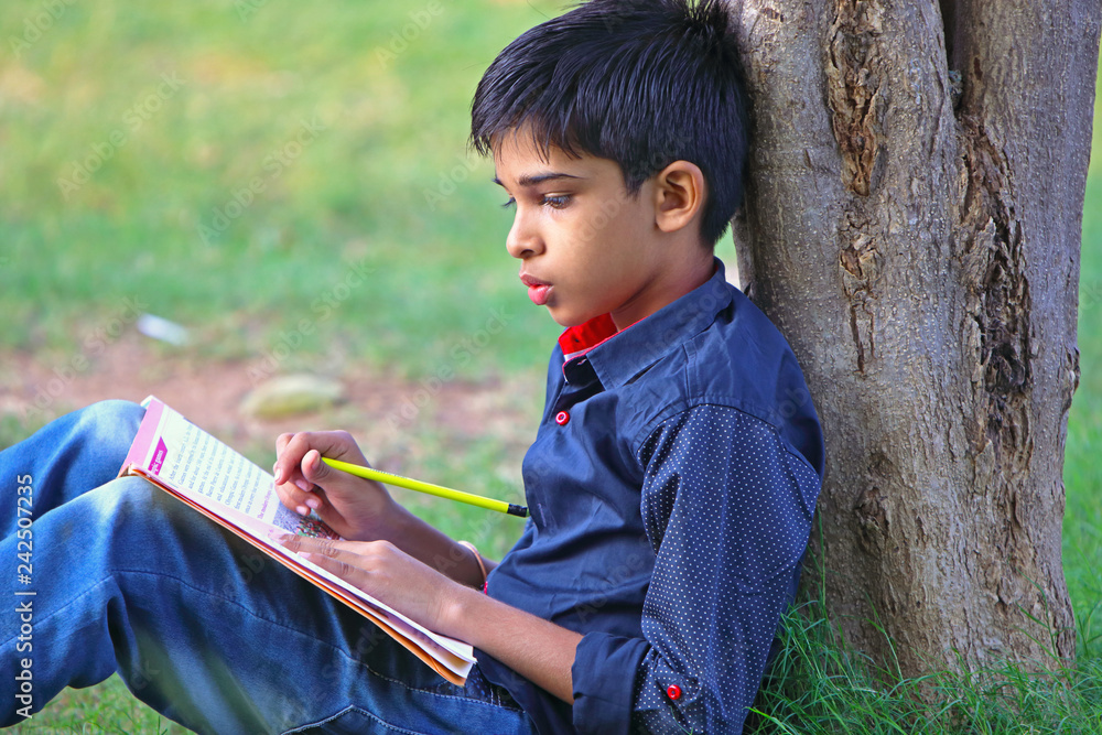 Portrait of Indian little boy reading the book, Sitting on green grass ...
