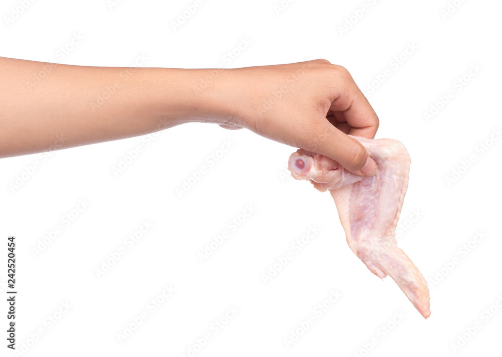 hand holding Raw Chicken wings meat isolated on white background Stock ...