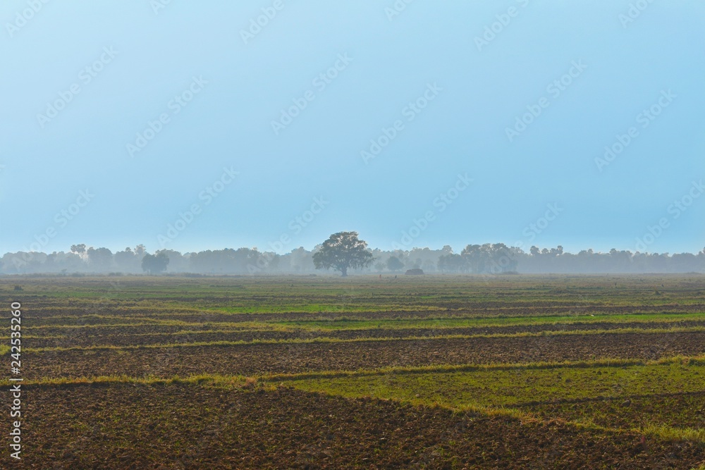 Open Field Wallpaper
