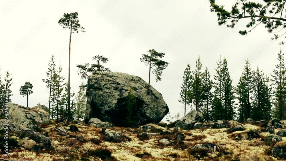 Geology, geography. Glacial landscape. This huge stone (erratic block ...