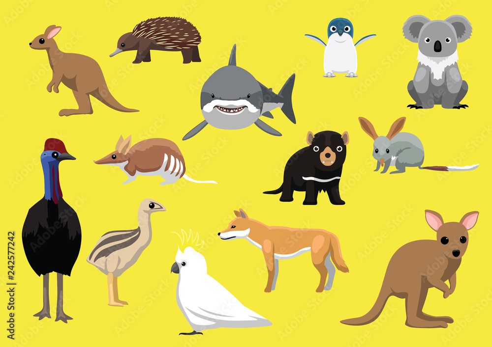 Cute Australian Animals Cartoon Vector Illustration Stock Vector ...