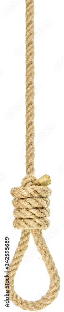 noeud de pendu en corde de chanvre sur fond blanc Stock Photo | Adobe Stock