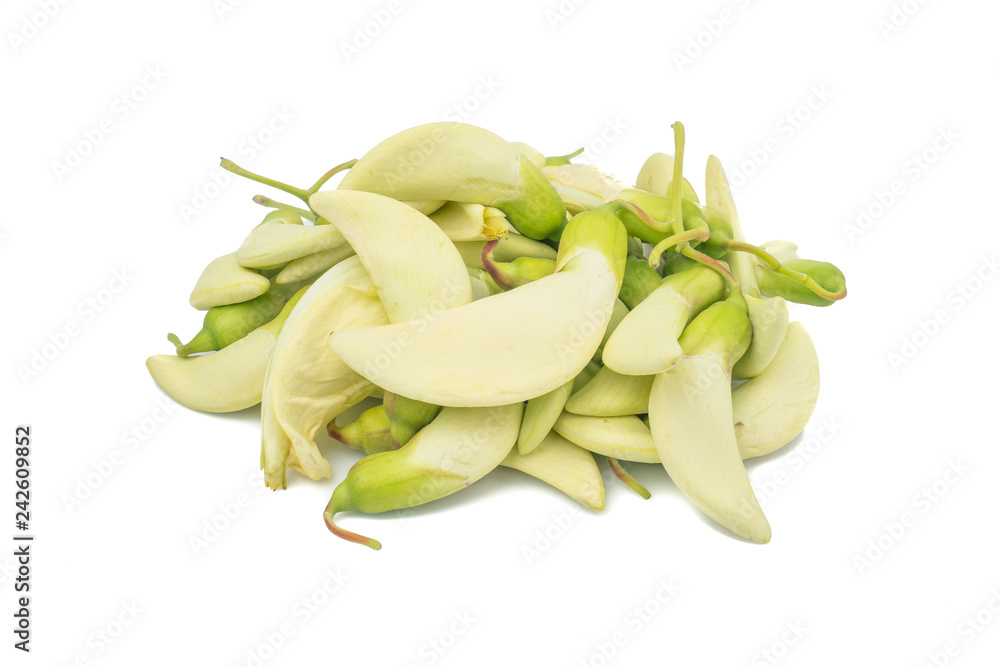 Pile of white Sesban, Agasta flower, Vegetable humming bird (Sesbania ...