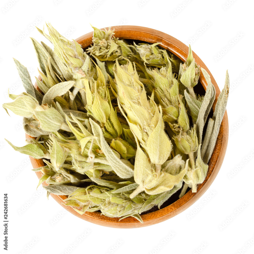Sideritis, Greek mountain tea in wooden bowl. Also ironwort and ...