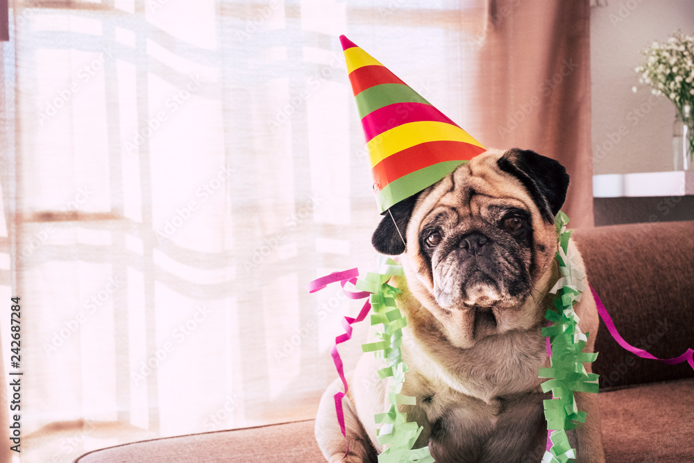 Foto de Carnival celebration or birthday anniversary for special funny ...