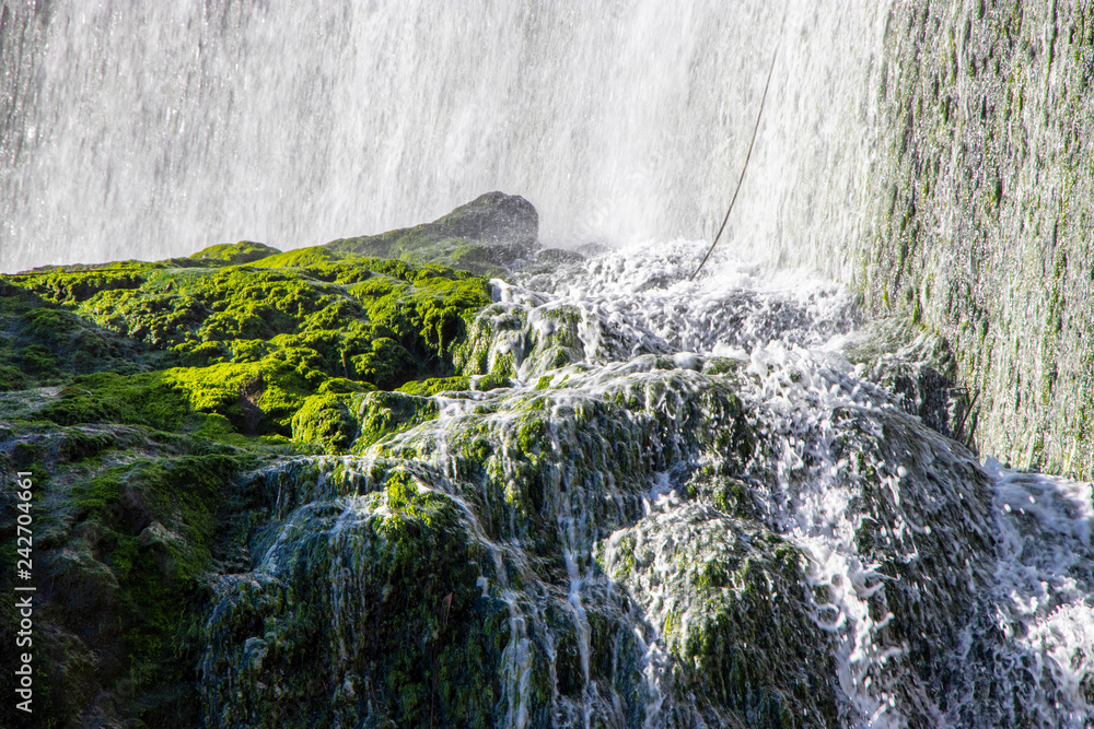 Beautiful waterfall with vegetation and animals in a dam Stock Photo ...