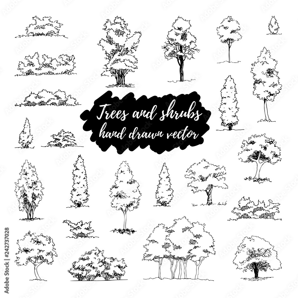 Set of hand drawn architect trees and shrubs, vector sketch ...