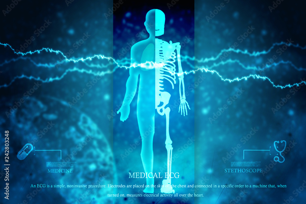 2d renderings of human skeleton Stock Illustration | Adobe Stock