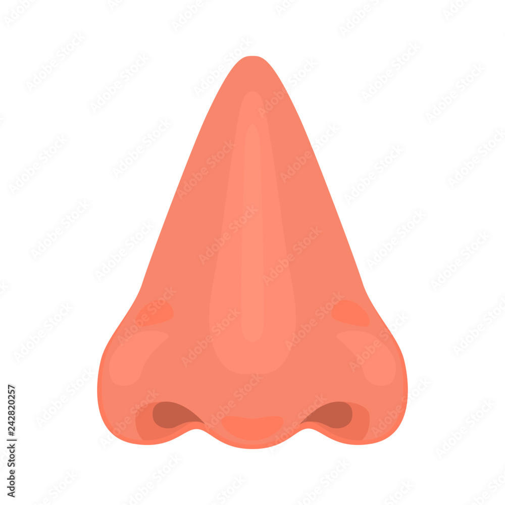 Vector illustration anatomy of a human nose. Vector illustration. Nose ...