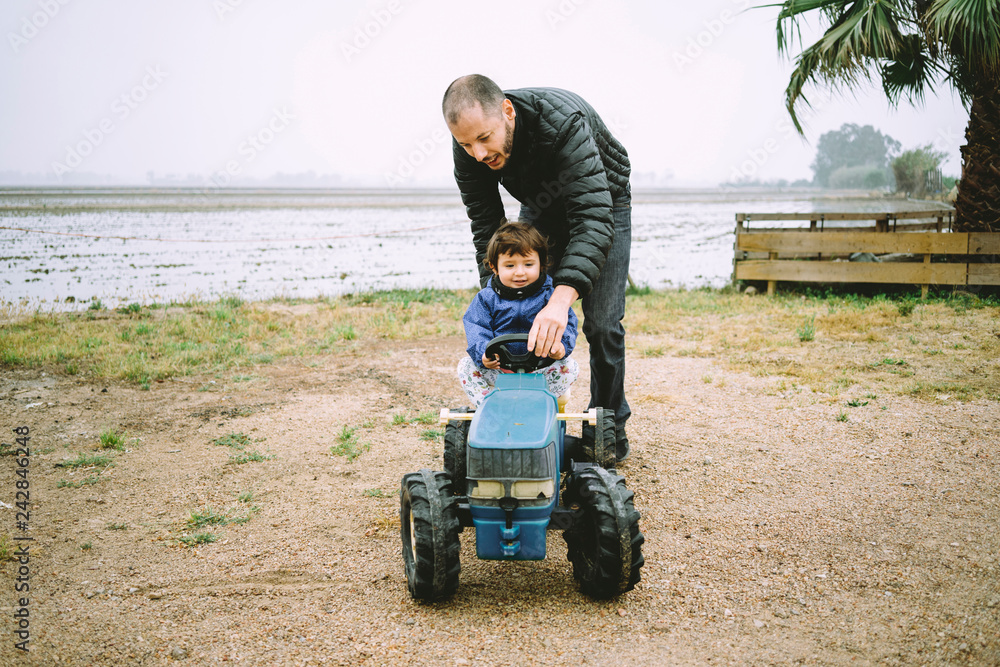 Father helping a baby girl to drive a toy tractor next to the rice ...