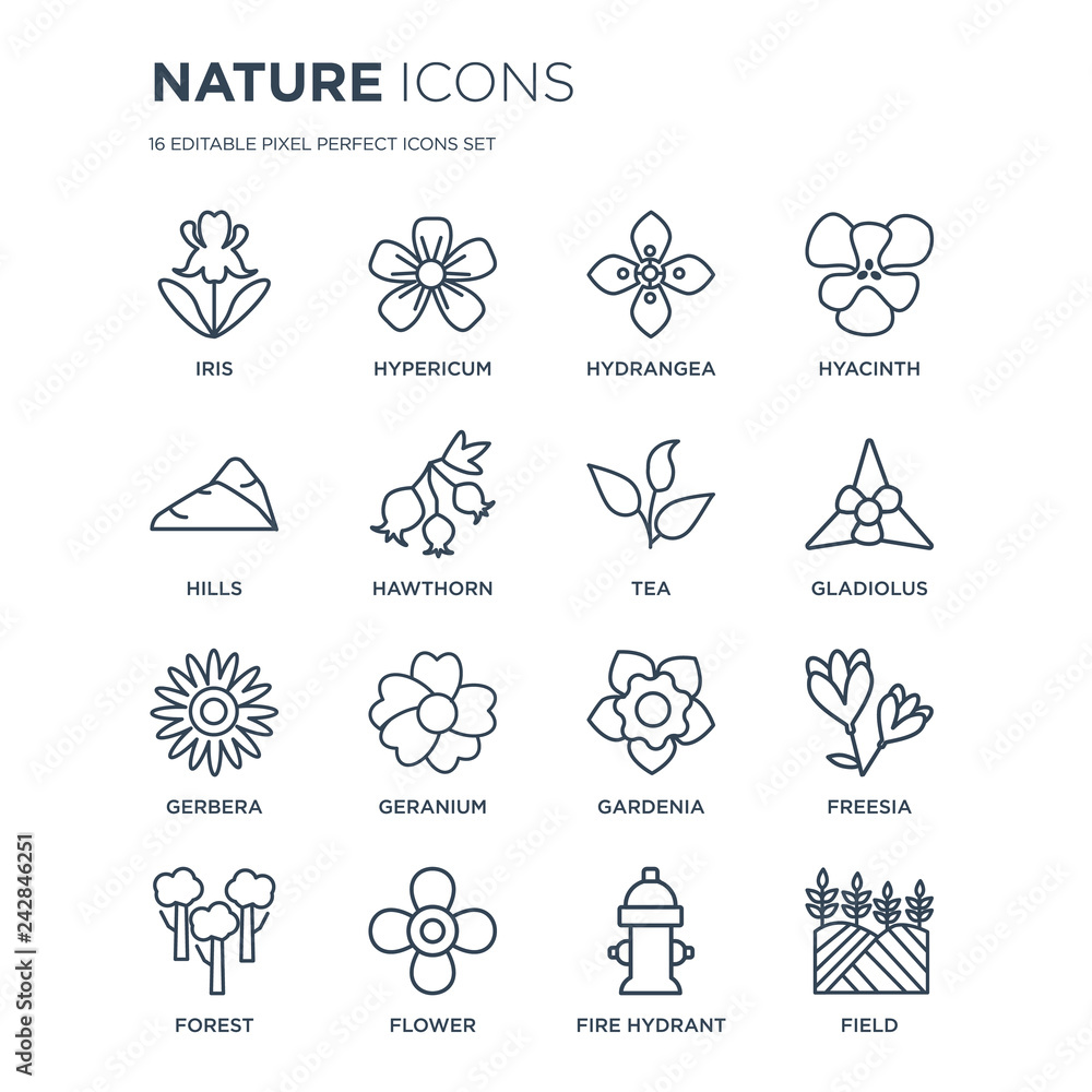 16 linear nature icons such as Iris, Hypericum, Flower, Forest, Freesia ...