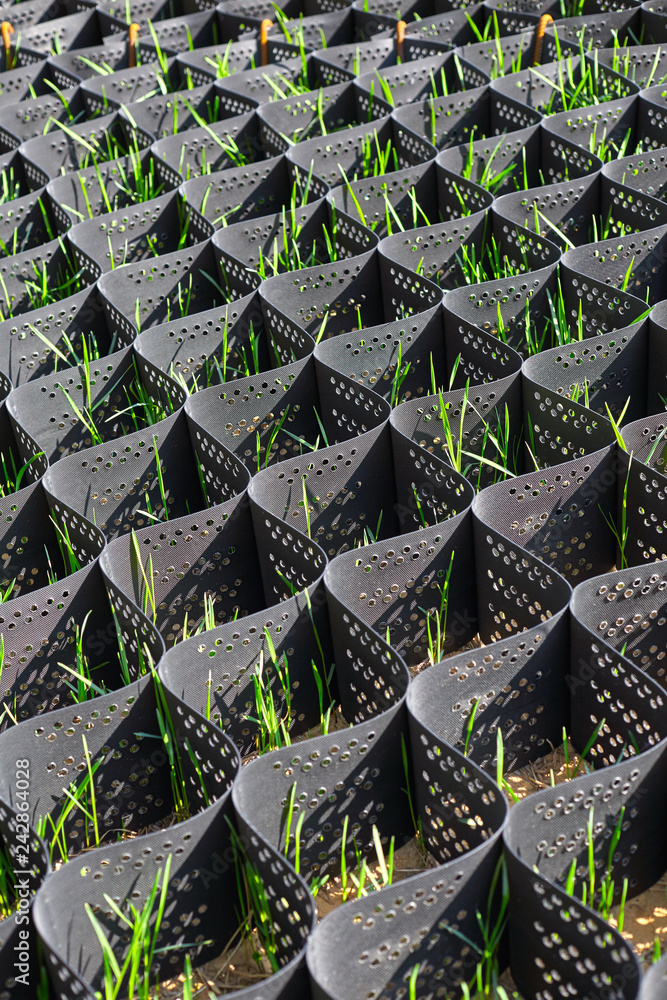 Green grass in a plastic black honeycomb frame to prevent soil erosion ...