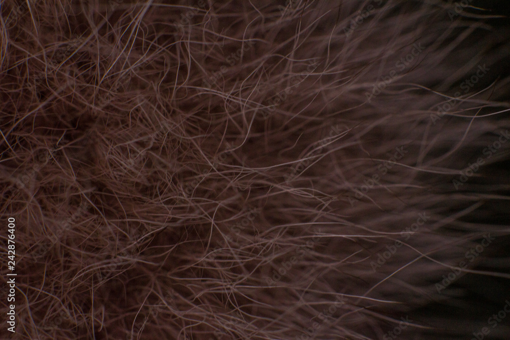 Seamless Short Hair Texture