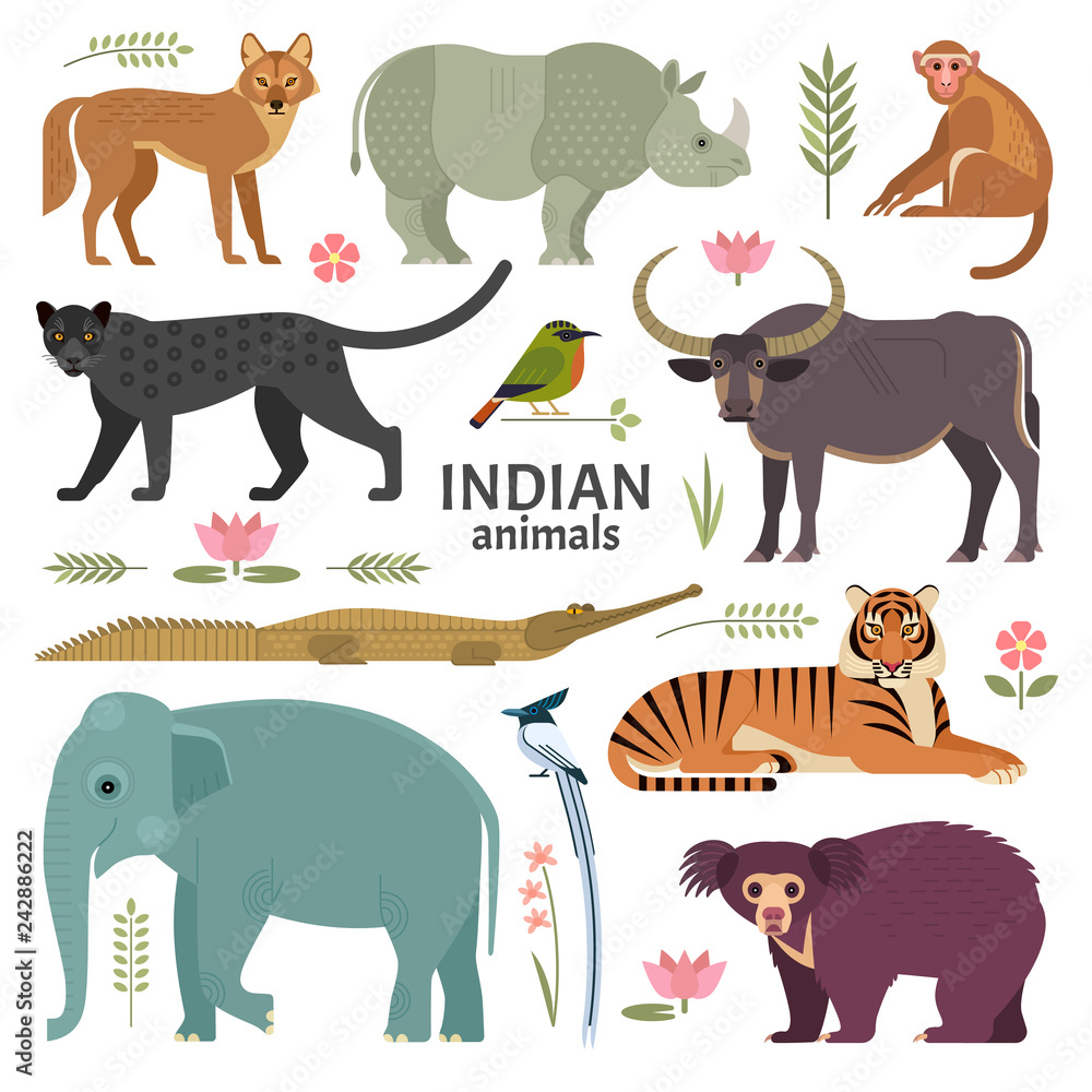 Indian Animals A Guide To 40 Incredible Indian Wildlife