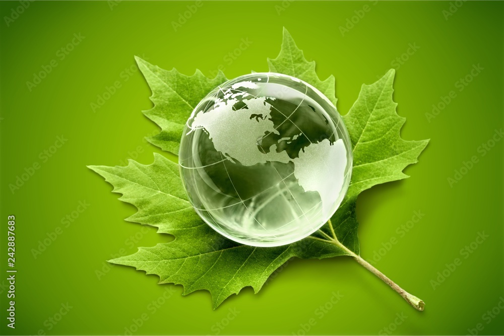 Environment concept, glass globe and green leaf Stock Photo | Adobe Stock