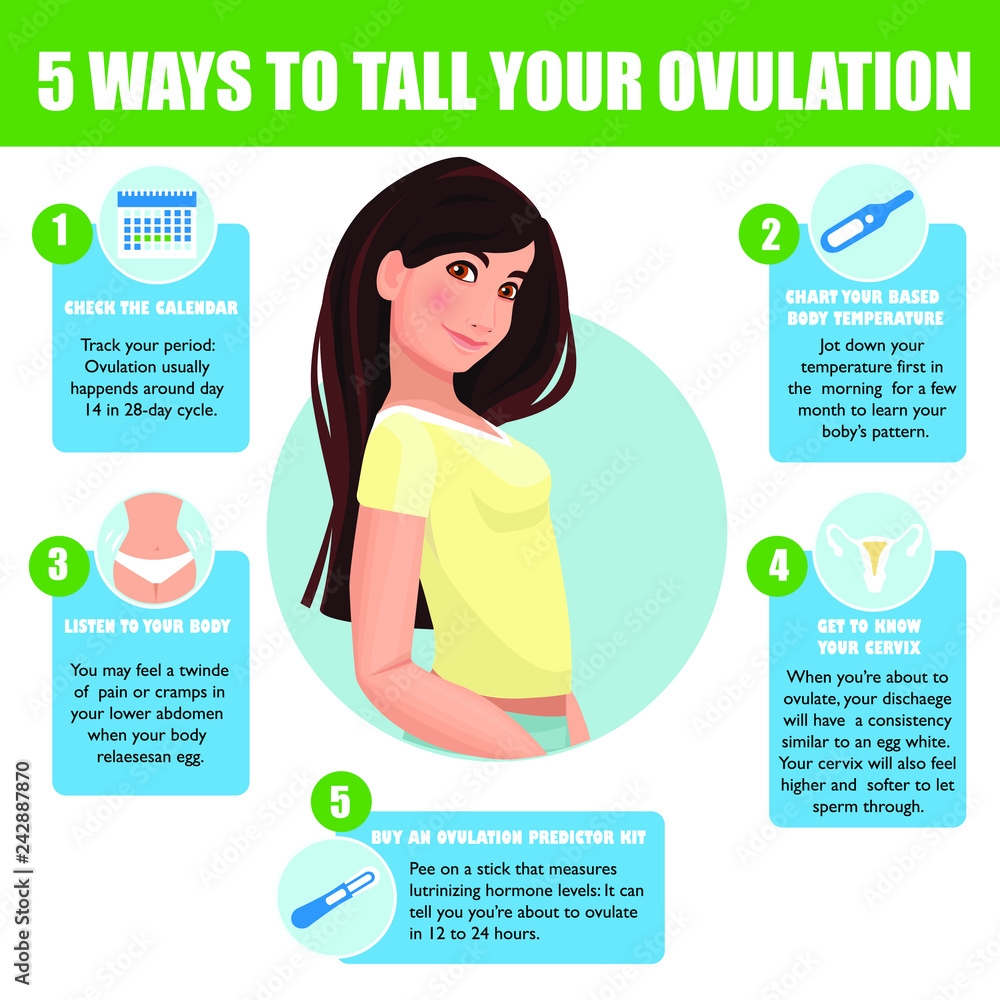5 ways to tall your ovulation. Preparation for pregnancy. Detailed ...
