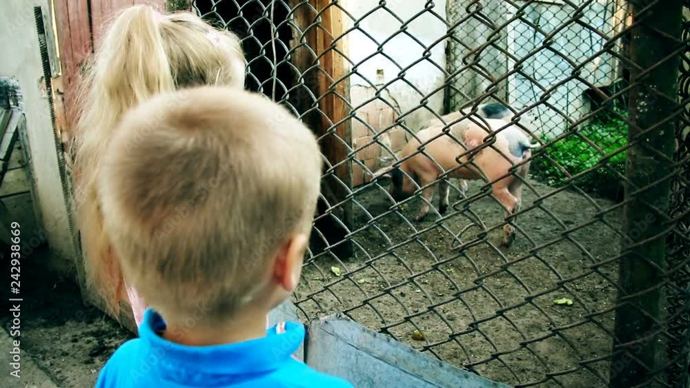 Children have fun at the farm. Journey to the farm, children becoming ...