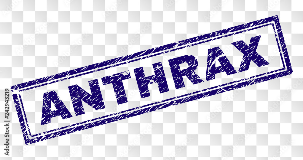 ANTHRAX stamp seal print with dirty style and double framed rectangle ...