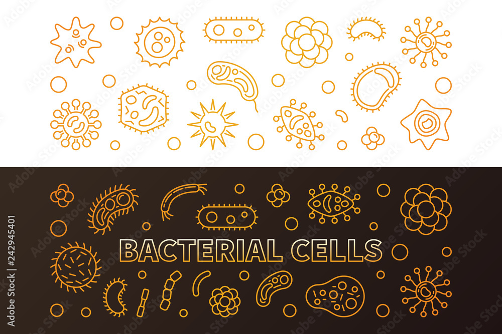Bacterial cells 2 bright golden banners - vector concept colored ...
