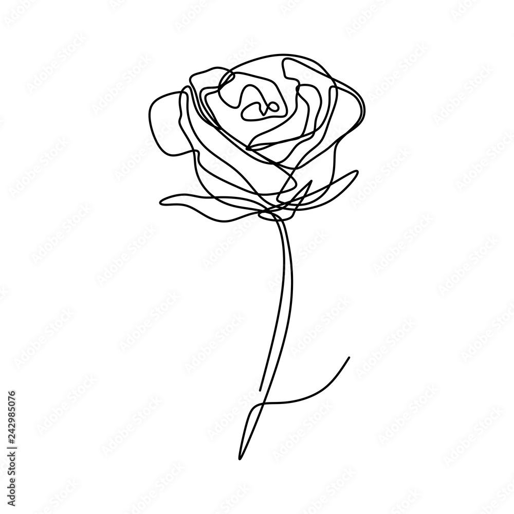 Continuous line drawing of rose flower vector Stock Vector | Adobe Stock