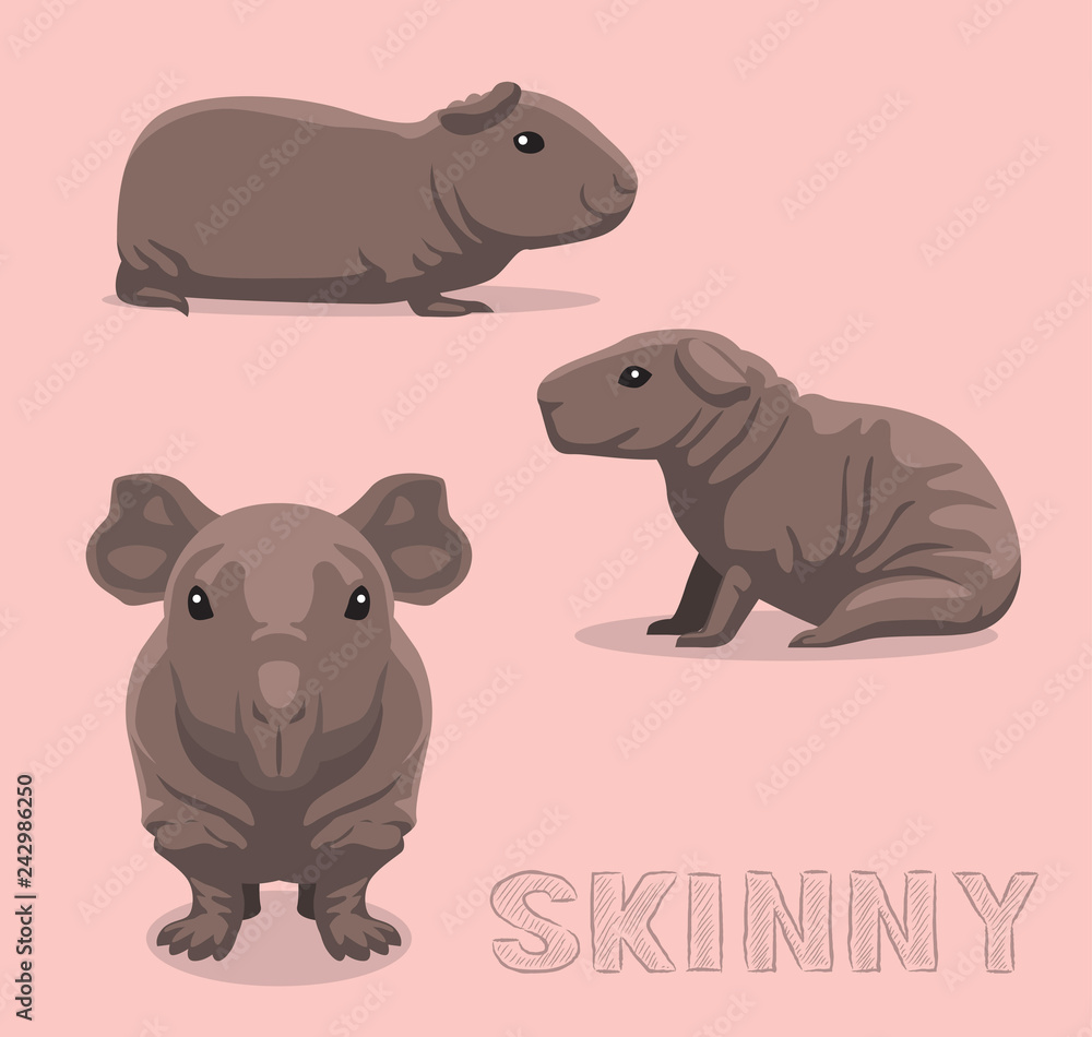 Guinea Pig Skinny Cartoon Vector Illustration Stock Vector | Adobe Stock