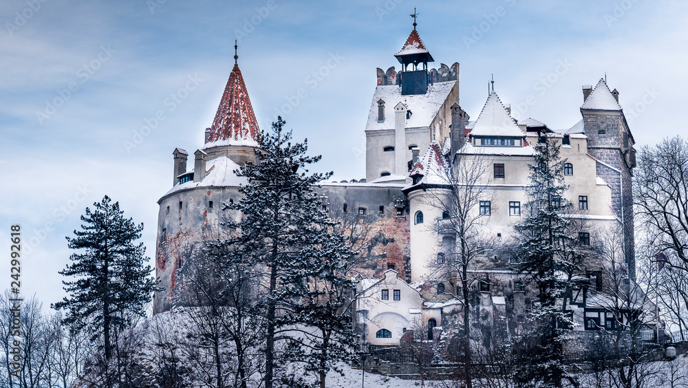 Bran Castle Wallpaper