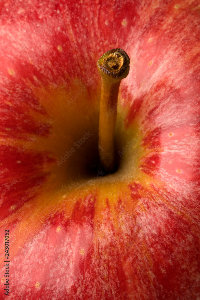 Apple Stalk Texture