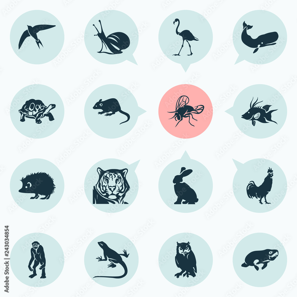 Fauna icons set with cachalote, seacow, swift and other bunny elements ...