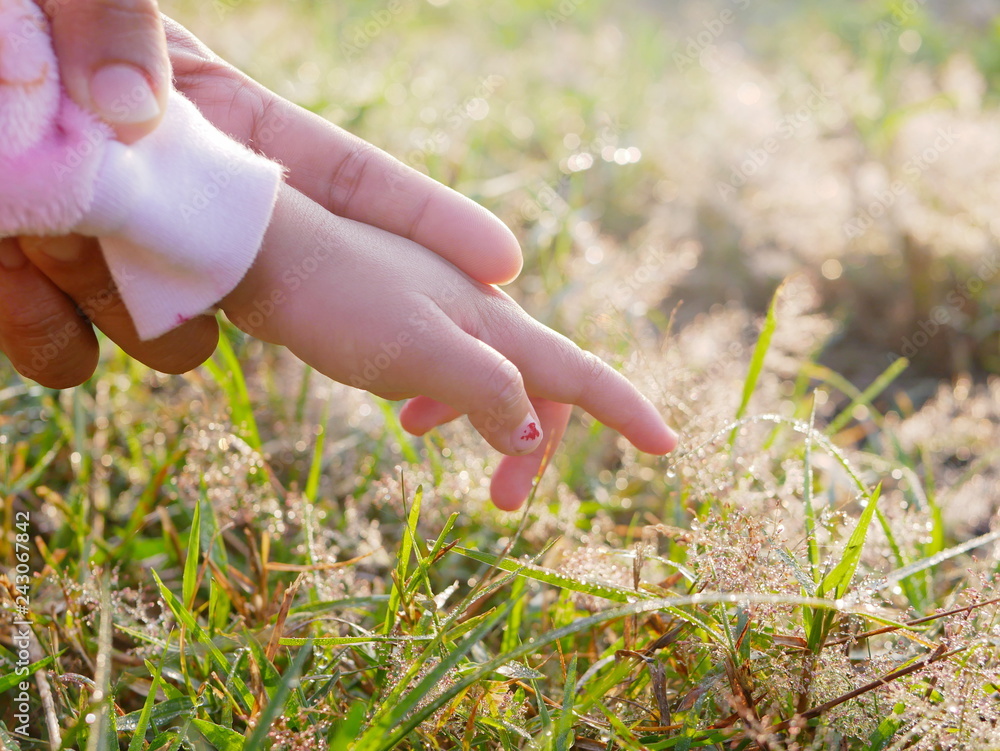 Foto Stock Little baby's hand in her mother's hand, for the first time ...