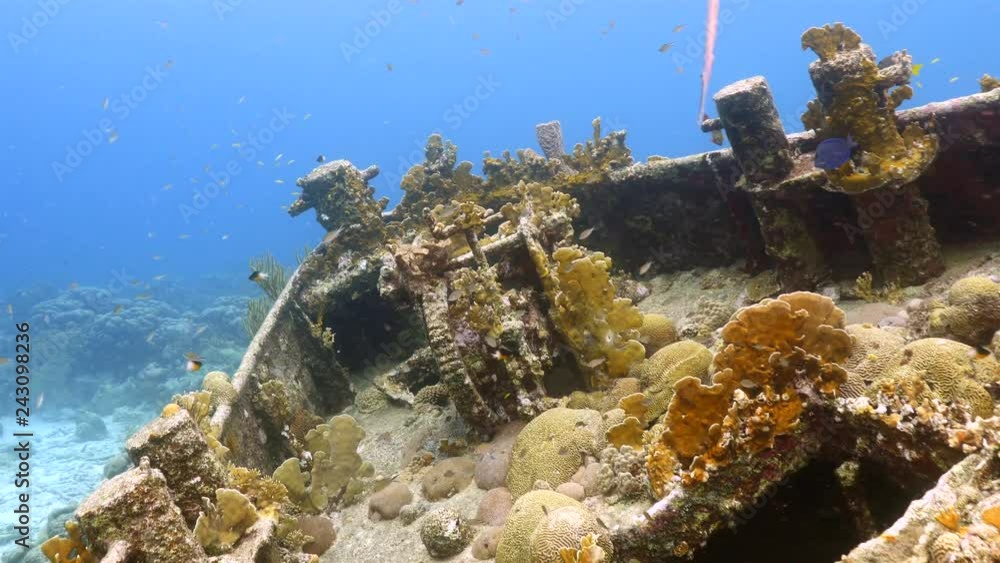 Seascape of coral reef in the Caribbean Sea around Curacao at dive site ...